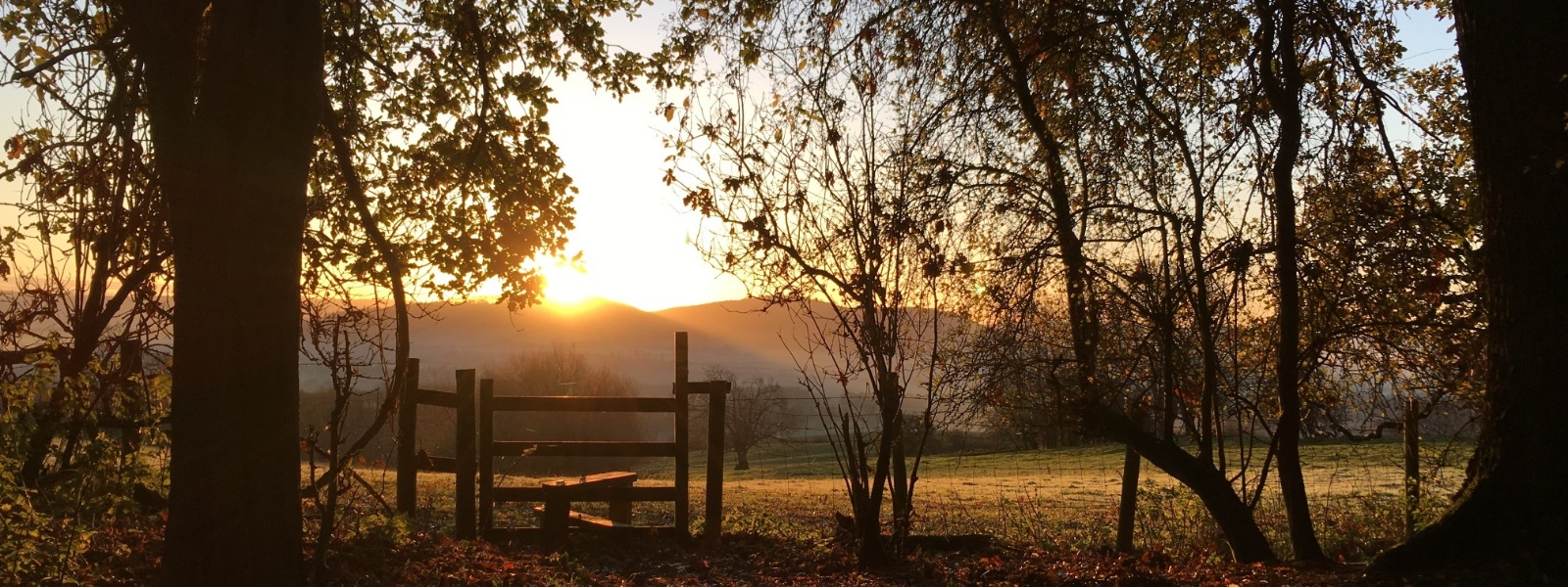 Overbury Enterprises